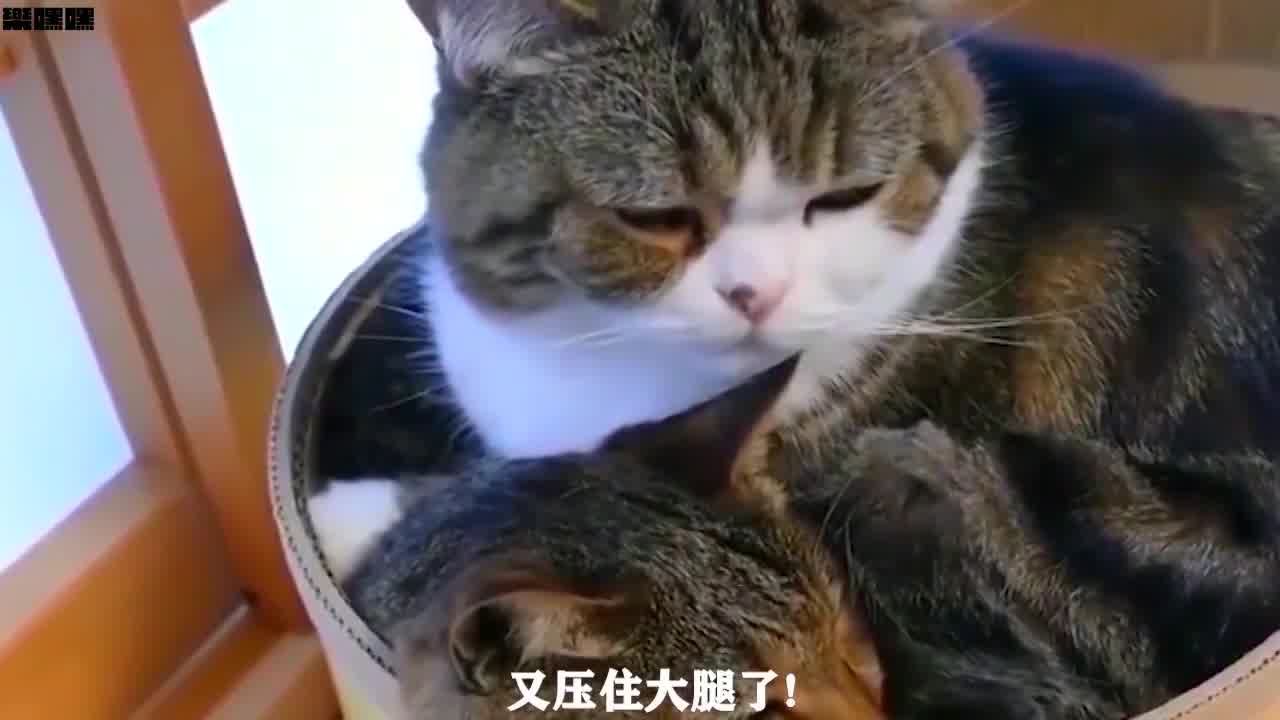 这钢管看着挺不错,带回家跳钢管舞应该正合适