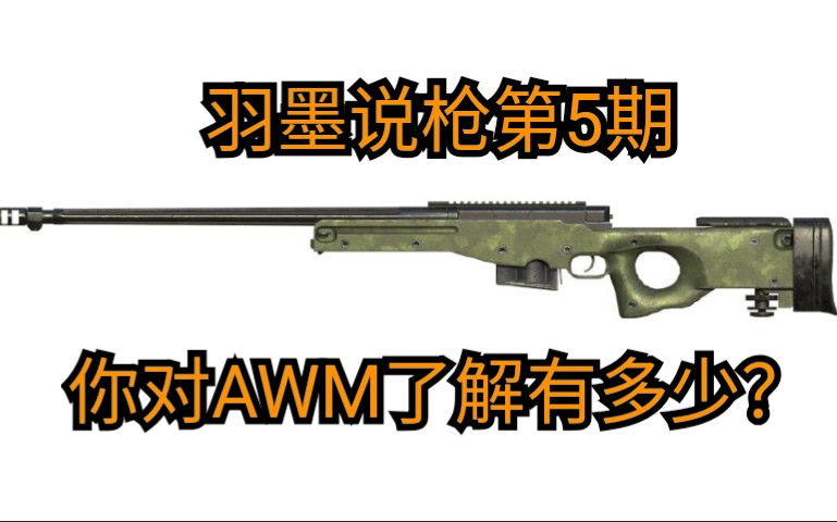 [羽墨说枪]第5期 AWM 你真的了解它么?