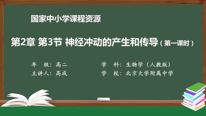 高中生物选择性必修一——神经冲动的产生和传导(第一课时)