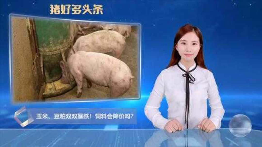玉米、豆粕双降,何原因导致原料集体降价?是否带动饲料降价?