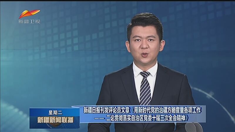 ...疆方略度量各项工作——二论贯彻落实自治区党委十届三次全会精神》
