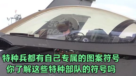 特种兵都有自己专属的图案符号,你了解这些特种部队的符号吗