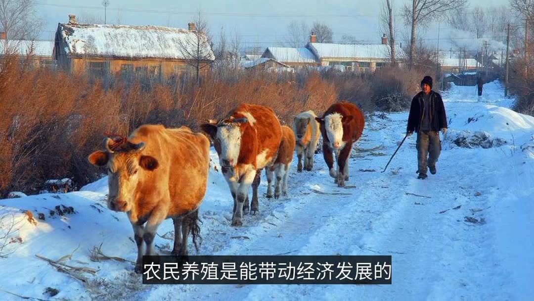 农村贫困户养殖培训,一天还有60块钱,你们村实行没有?