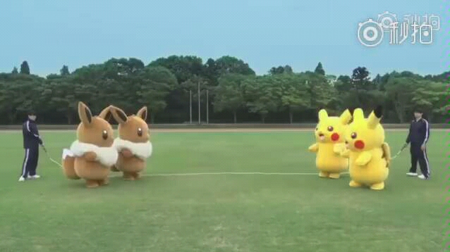 皮卡丘&伊布 11项大对决