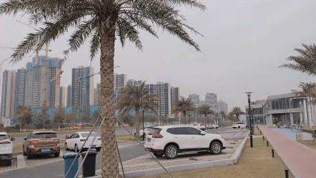 2年后来到珠海金湾,发现这里真的发展很快,变化太大了