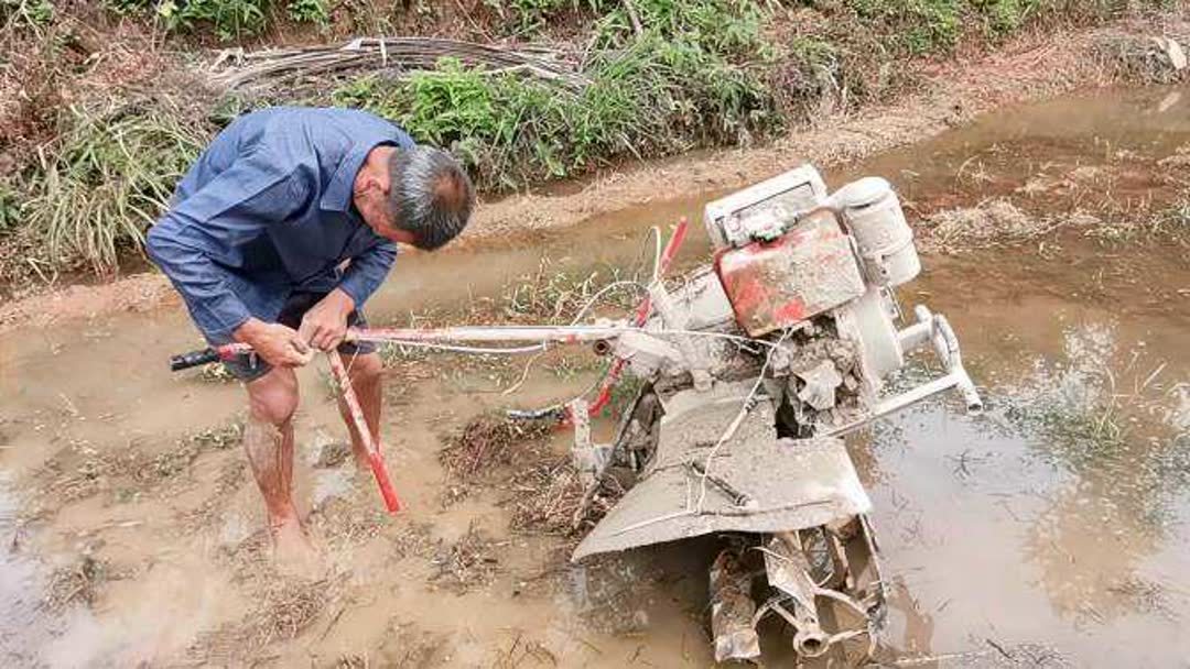 开工种水稻,抛秧插秧一起上