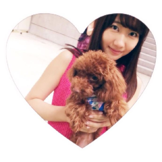 勘破三春景不长 