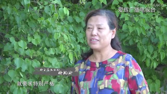 爱辉区家风故事专题片树立好家风传递正能量_标清