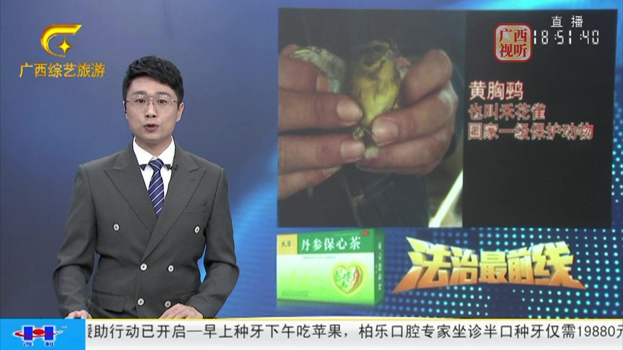 南宁:男子用录音机发声诱捕飞鸟森林公安破获特大非法猎捕野生动物案