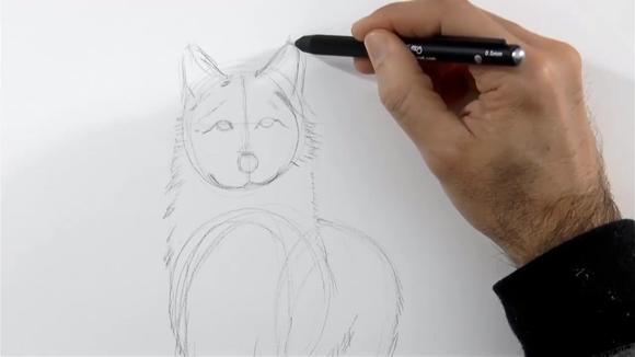 牛人教你如何画一只狼,这样画才是高手!厉害了!