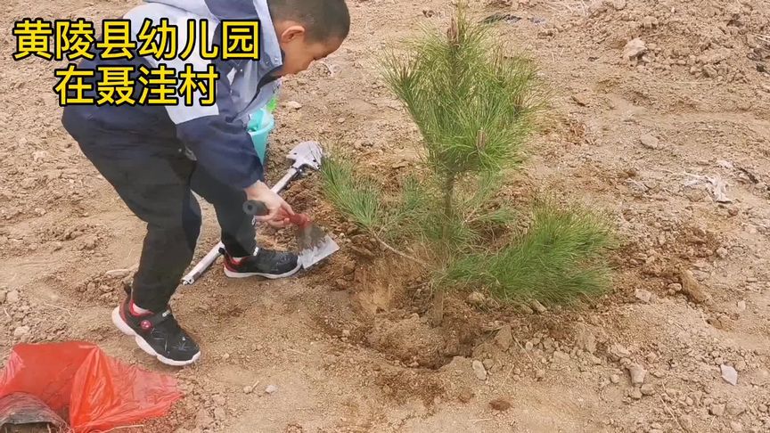 #乡村振兴 #幼儿园#劳动实践活动#聂洼村#劳动最光荣