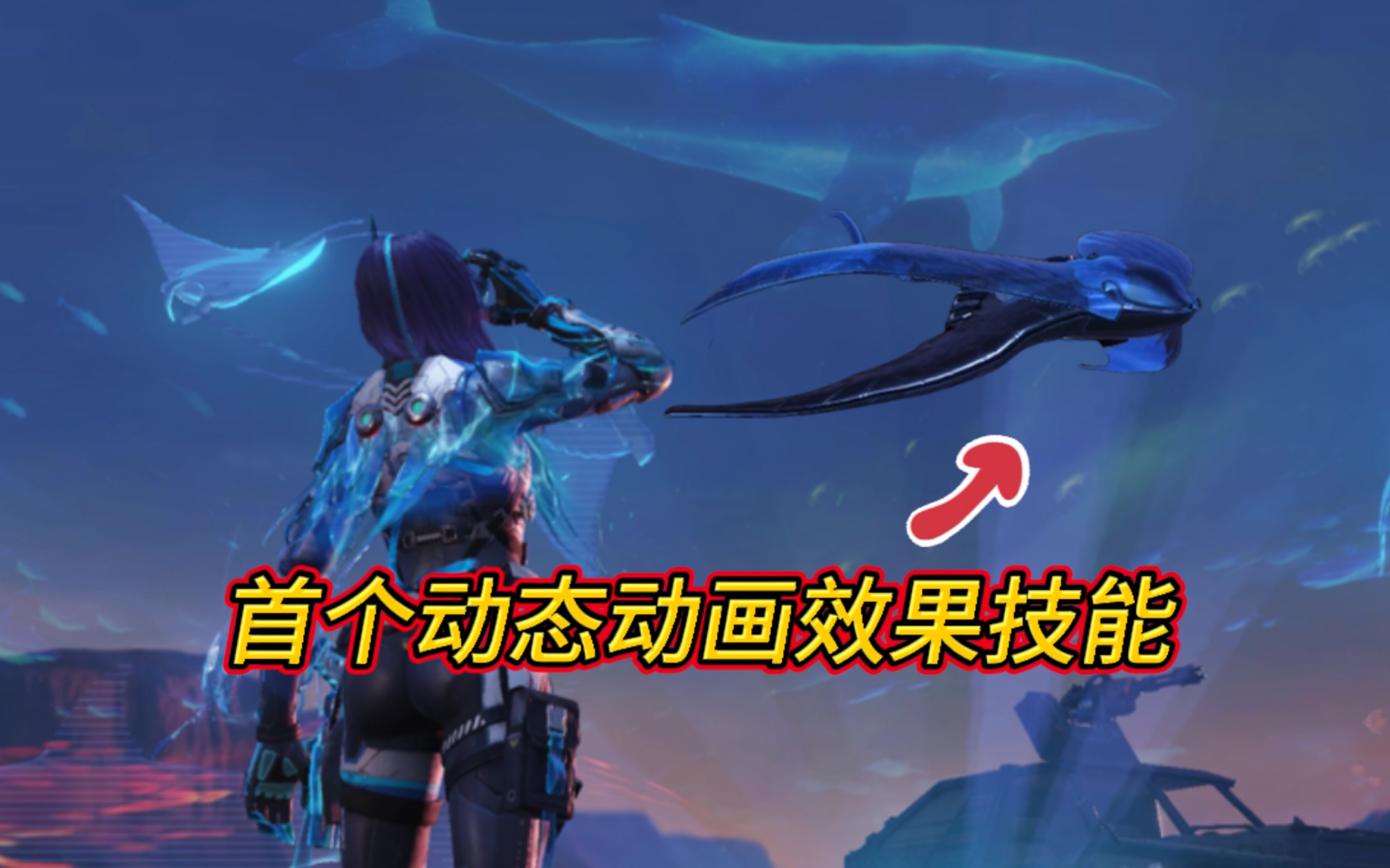 首个动态动画效果技能炸弹小飞机!传说蔷薇刺客正式服试玩!