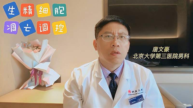 生精细胞凋亡的调控