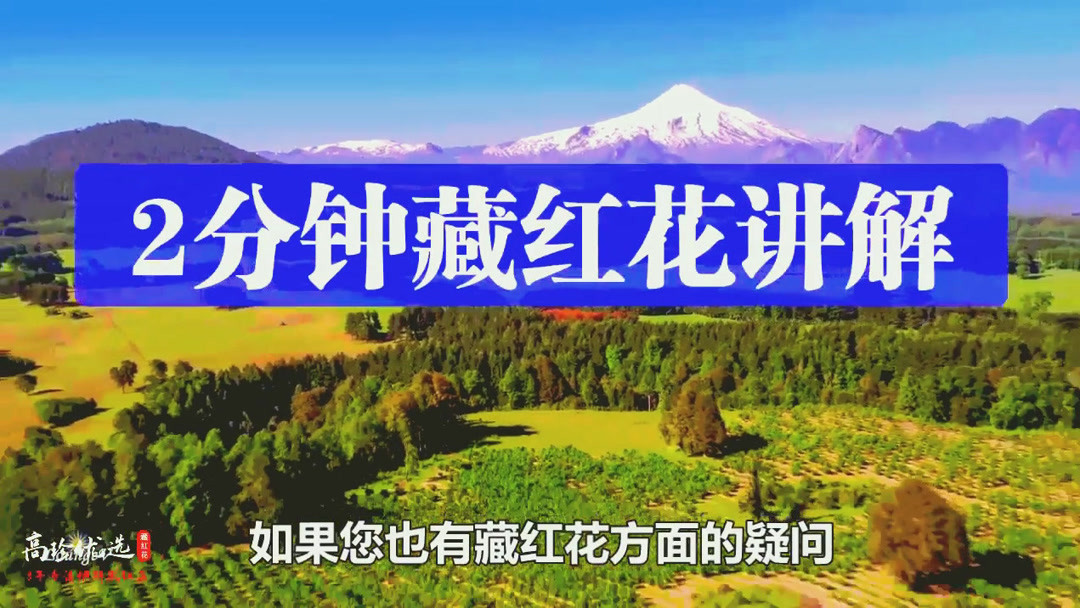 藏红花的功效,男人喝藏红花的功效,藏红花的功效和食用方法