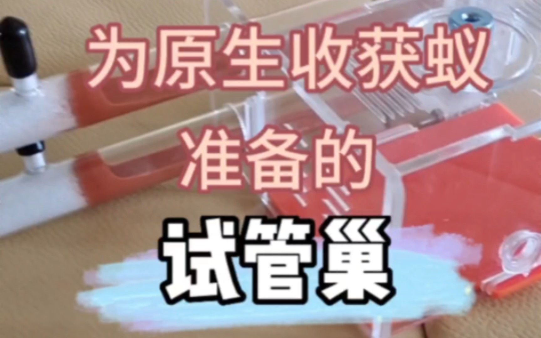 为原生收获蚁准备的试管巢!等待史上最贵的蚂蚁(野蛮收获蚁)入住新家