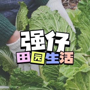 强仔田园生活 