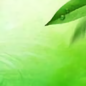 旅游摄像机看天下 