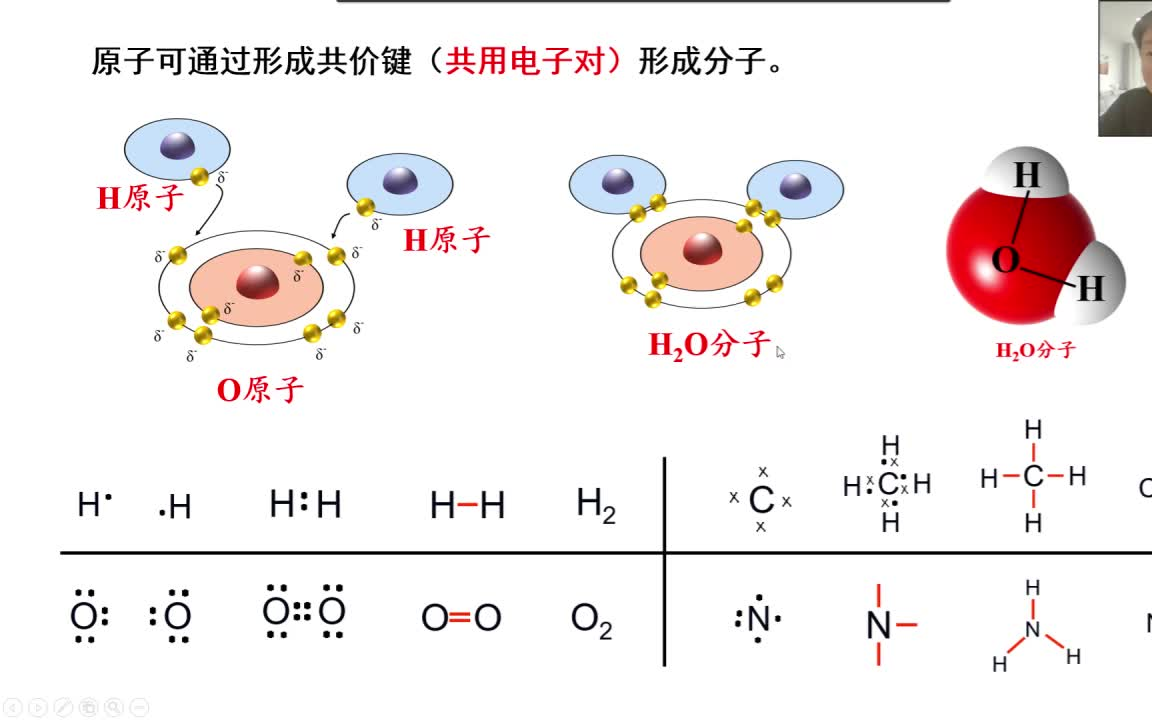 必修1第二章第1节 细胞中的元素和化合物(检测生物组织中的还原糖、...