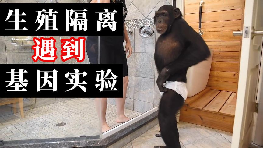 历史荒唐人和动物的实验说明基因实验必须经过伦理委员会的审查