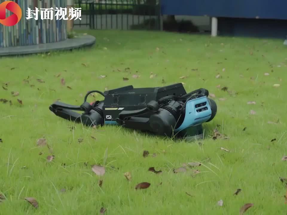 智能四足机器人:全面支持5G和AI,可实时人机互动