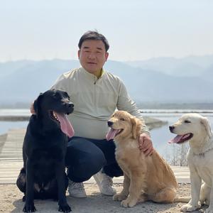 高教训犬 