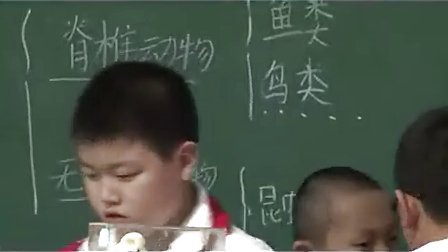 浙江省小学科学特级教师网络工作室课堂教学研讨活动《种类繁多的...