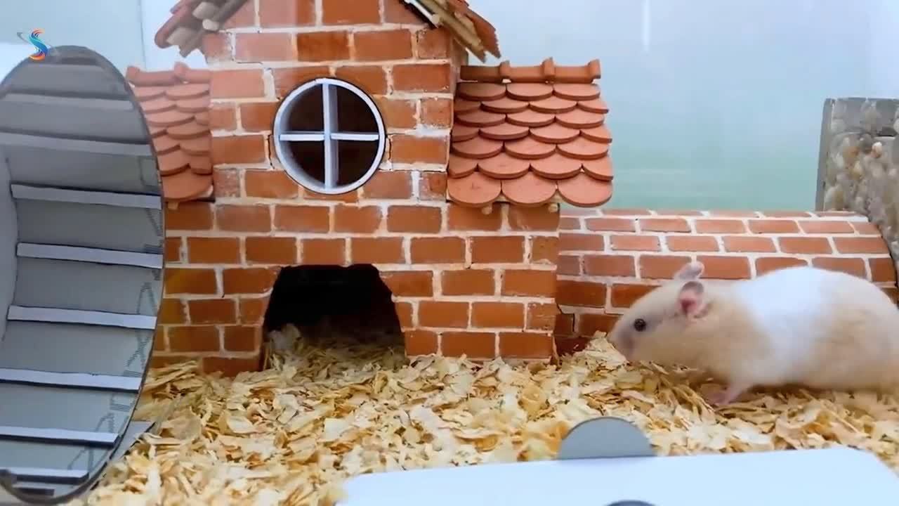 diy-为可爱的仓鼠制作小房子