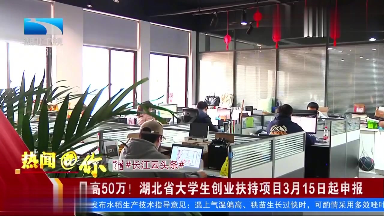 最高50万!湖北省大学生创业扶持项目3月15日起申报