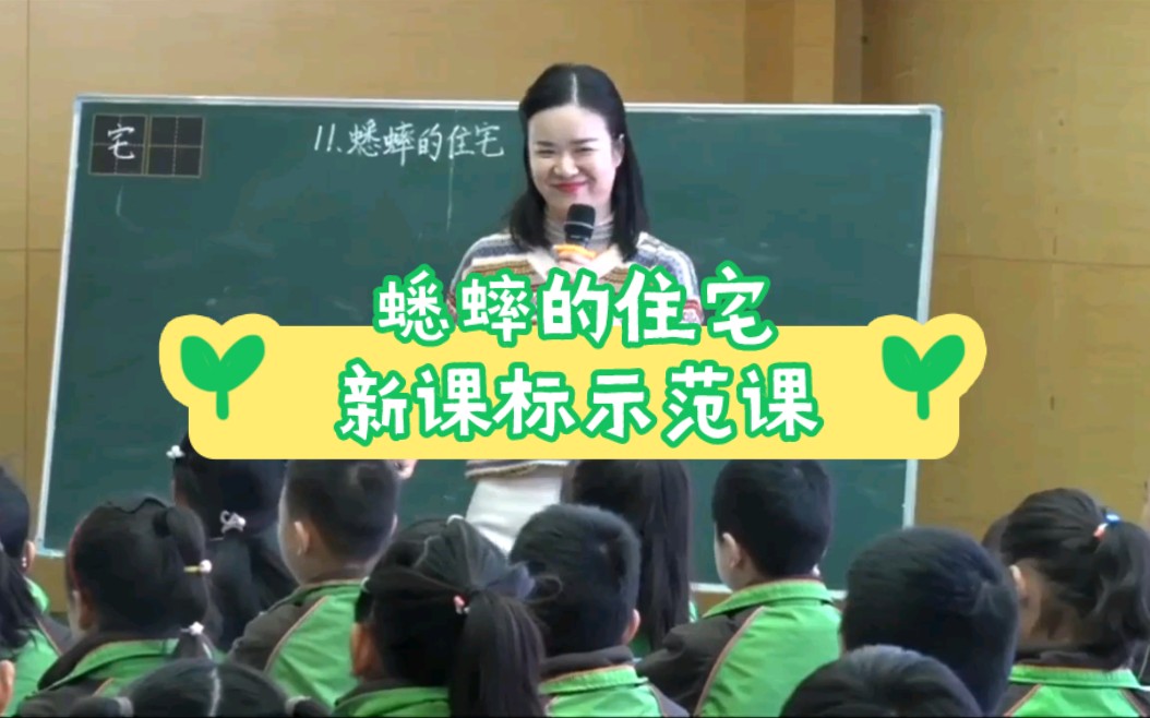 小学语文优质课评比 四上语文《蟋蟀的住宅》教学实录 新课标任务群 ...