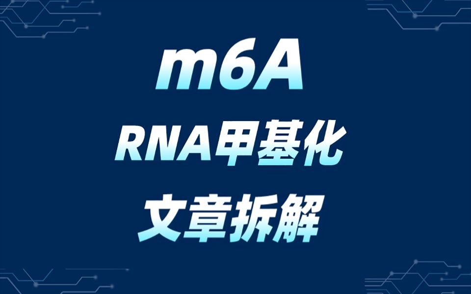 深度揭秘m6A甲基化在肿瘤发生和治疗中的作用