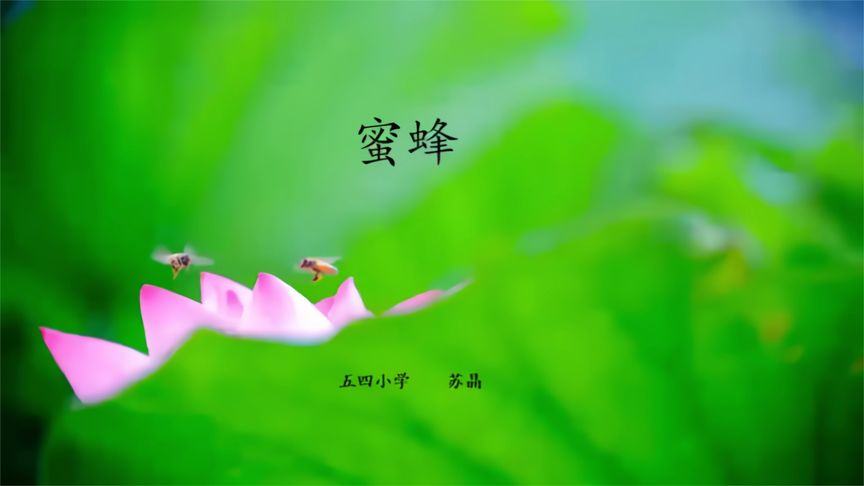 部编版小学语文优质课 蜜蜂 教学实录 三年级下册