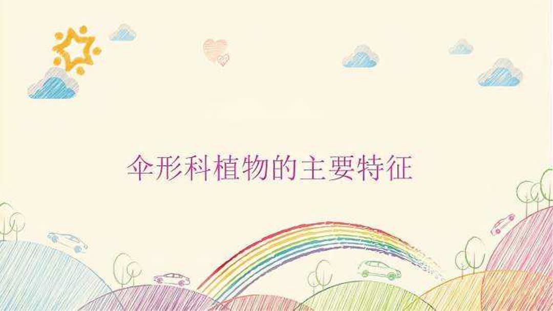 伞形科植物的主要特征