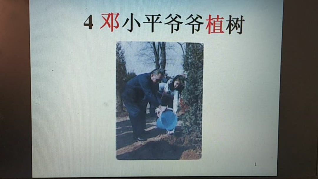 二年级下第四课生字