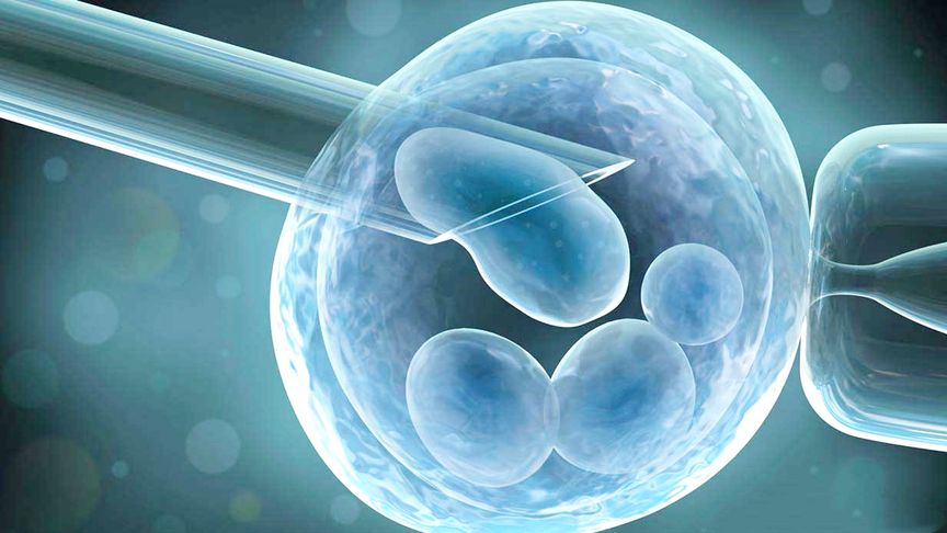 做试管婴儿的“妈妈”有多不容易?3D动画演示,太不容易了!