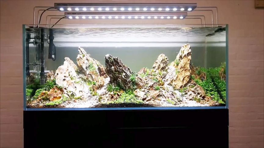 120x50x50cm松皮石草缸造景延时拍摄,水草造景缸开缸全过程