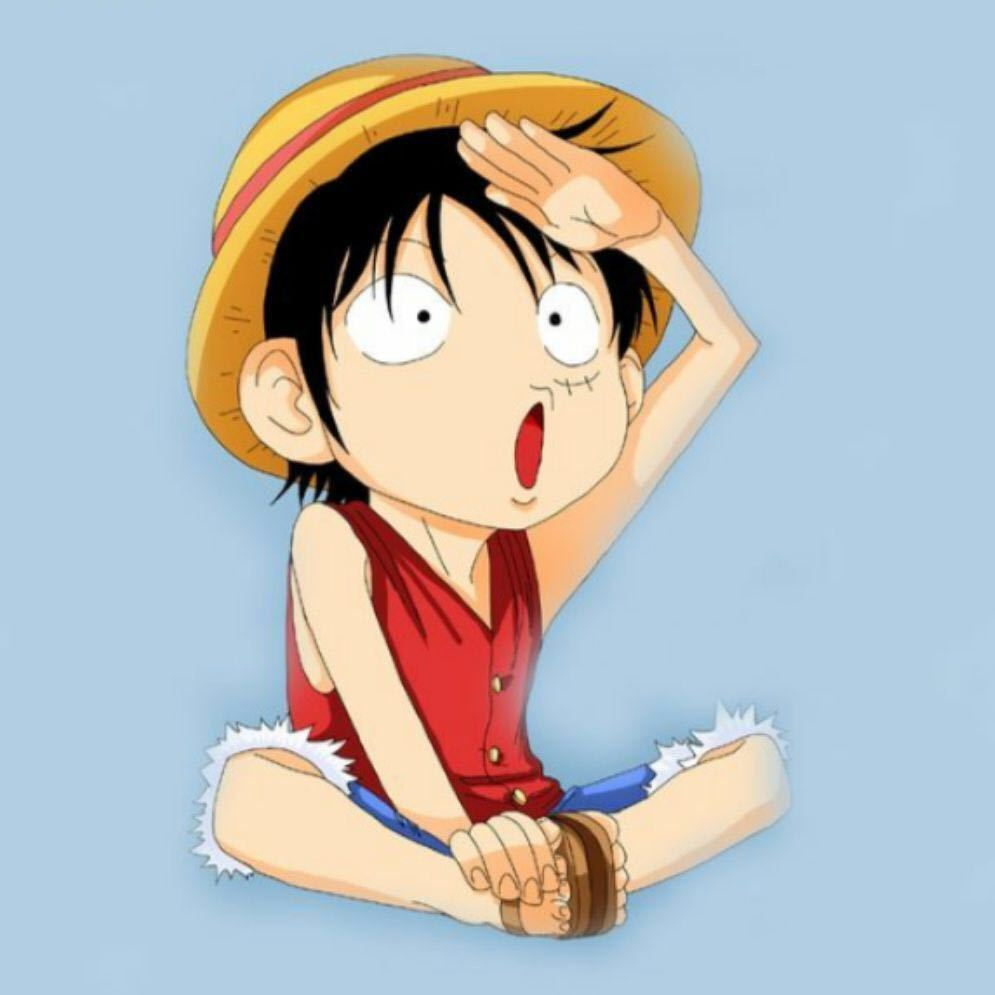 肥嘟嘟的大笨熊 