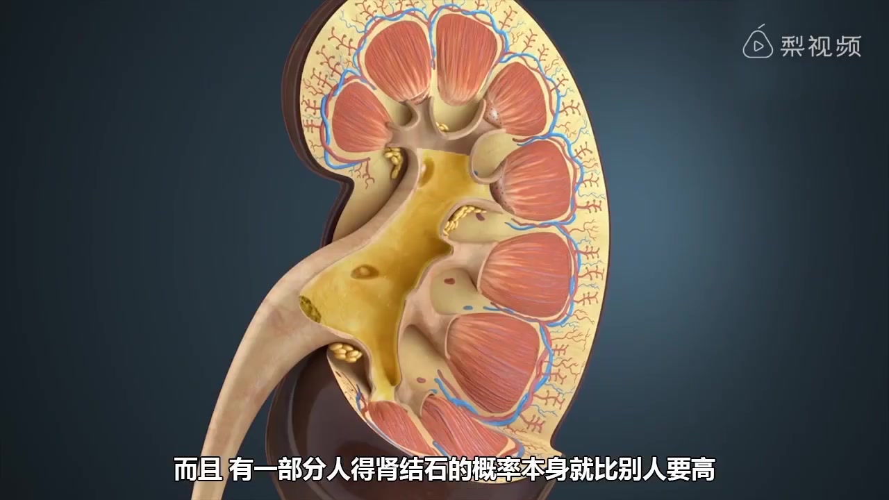 憋尿太久会怎么样?后果很严重!