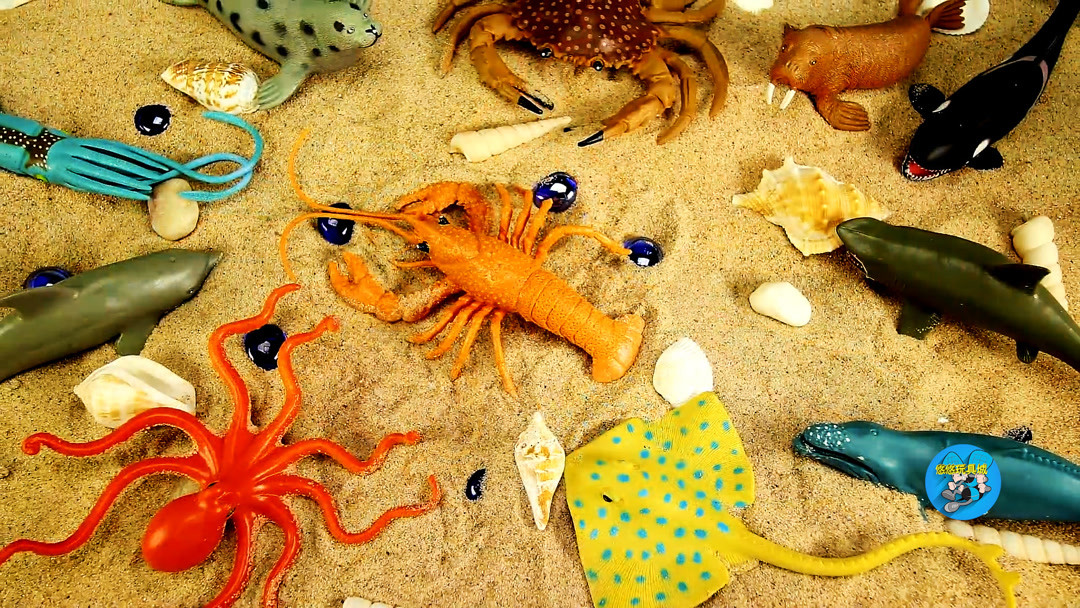 海里动物名称八爪鱼海豚海豹鲨鱼红虾贝壳蜗牛儿童玩具悠悠玩具城
