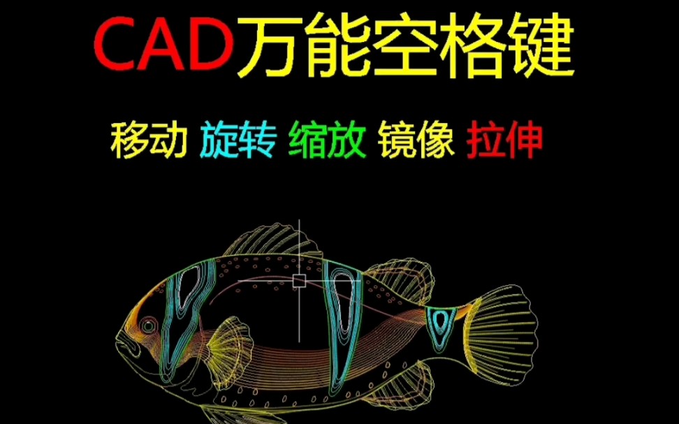 cad万能空格键,提高画图速度10倍