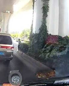 难以想象,这车怎么开上去的?#交通安全#