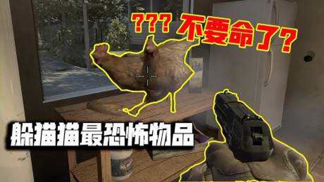 CSGO躲猫猫:打错一枪就会爆死!变成鸡没人敢打你!