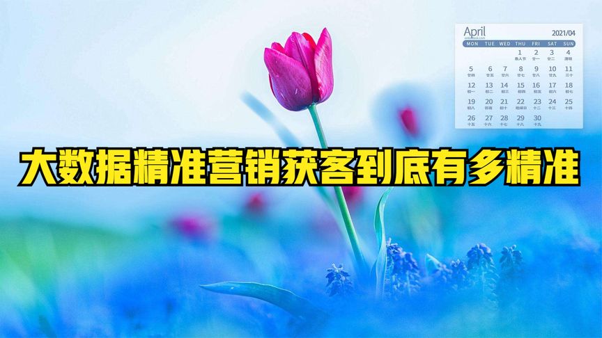 大数据精准营销获客到底有多精准