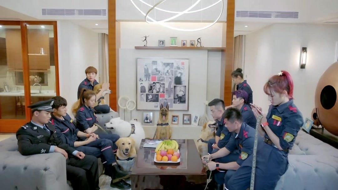 《神犬小七3》救援队分析吴子啸的行动 小七还救了黑豹呢