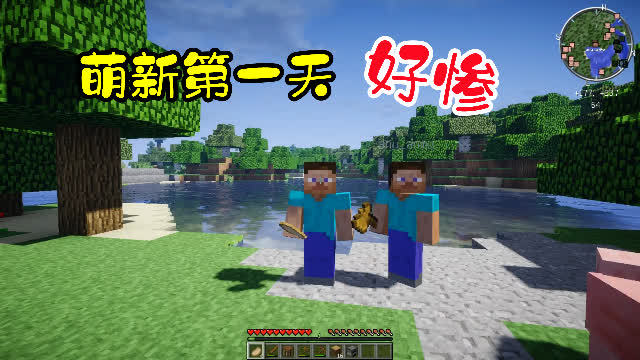 我的世界生存视频:第一天就下矿,被末影人吓得吱哇乱叫