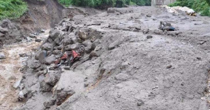 如果不是被游客拍下这一幕,我们又怎么会看到这样罕见的画面