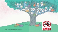 中班安全教育活动《禁止的事情不能做》王明月
