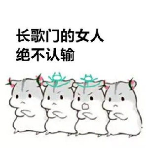 阿鱼今天咕咕咕了吗 