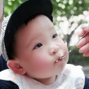 银杏印记 