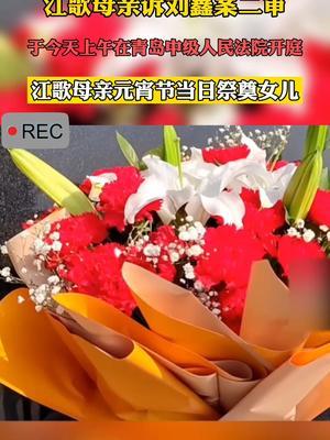 江歌母亲诉刘鑫案二审!