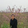 游乐王乐游 